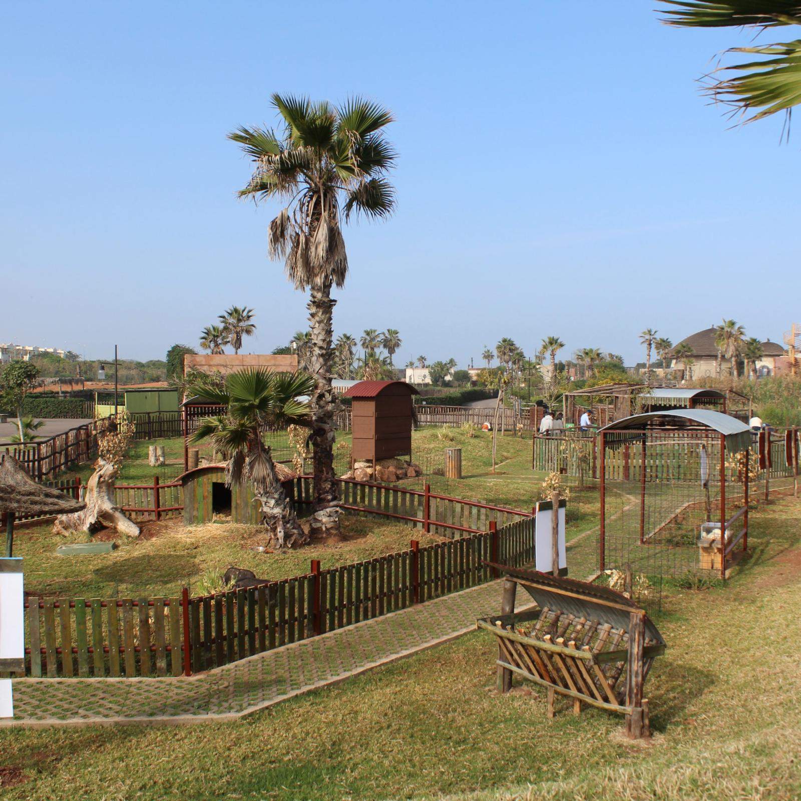 Ateliers pédagogiques - Sindibad Parc